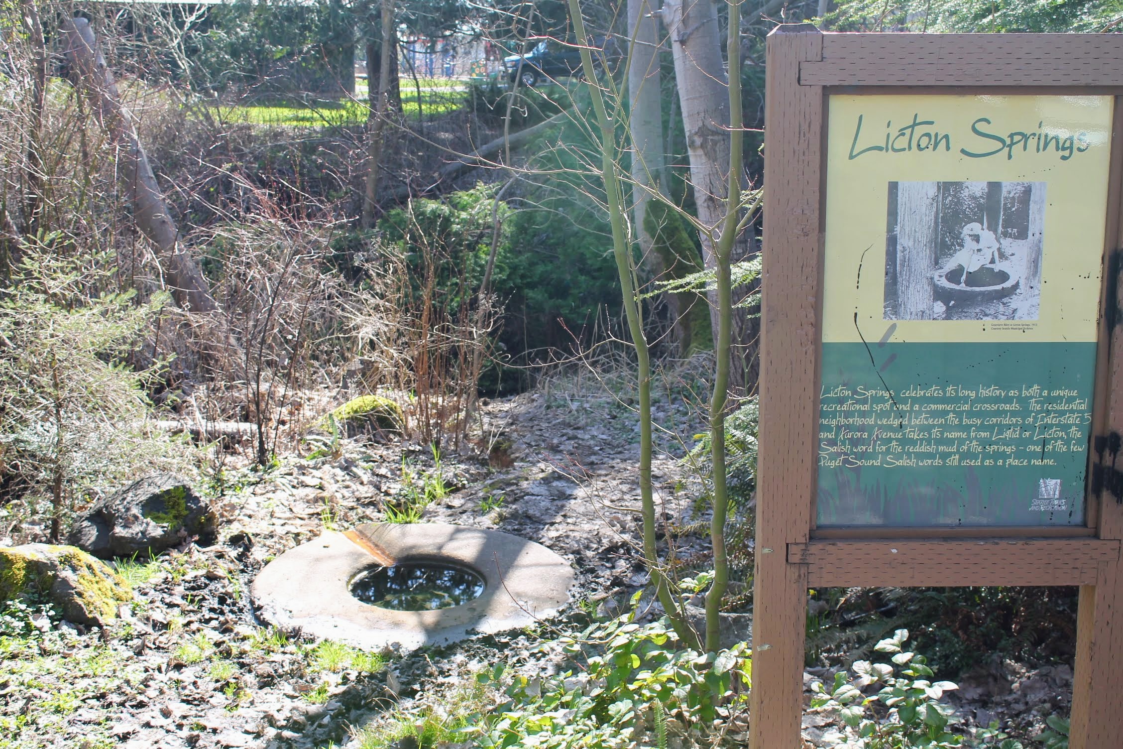 Landmarks Preservation Board approves nomination of Licton Springs Park ...